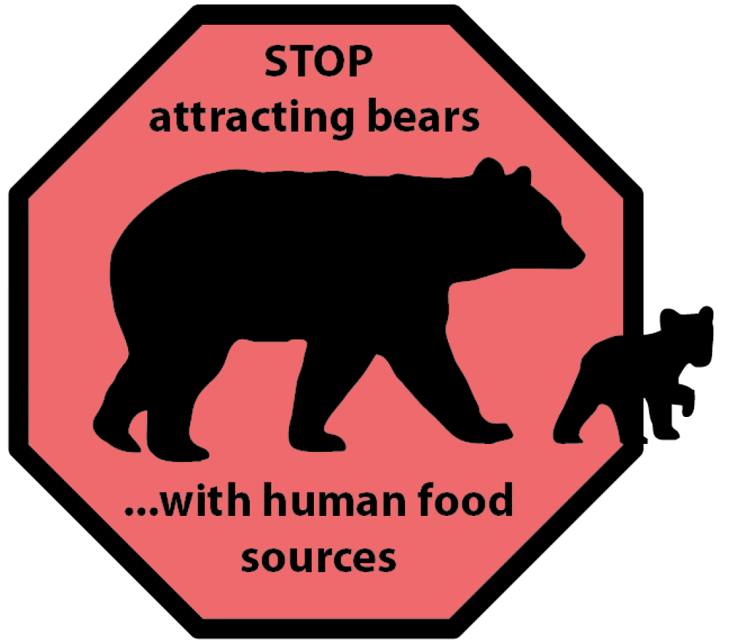 A fed bear is often a dead bear! – Save Our Bears